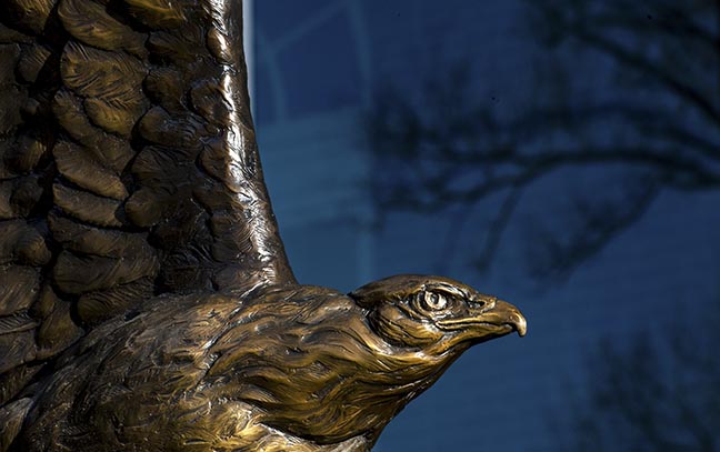 Achievements and History - This Is IUP - IUP