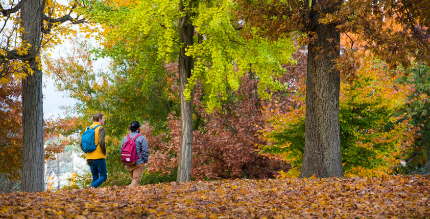 Additional Admissions Pathways - Admissions and Aid - IUP