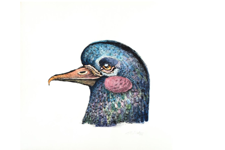 David Kiefer, "New Illustrations" Exhibition Opens at Annex Gallery - IUP