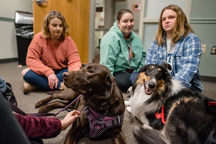 Plan Your Visit with the "Just Paws" Therapy Dogs at IUP Libraries - IUP