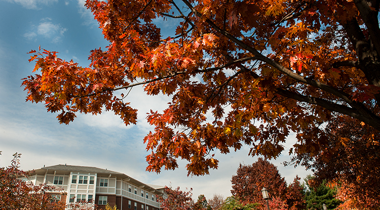Fall Break Message from SGA President - IUP